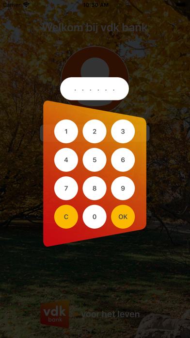 vdk bank (Belgium) - Bank Profile