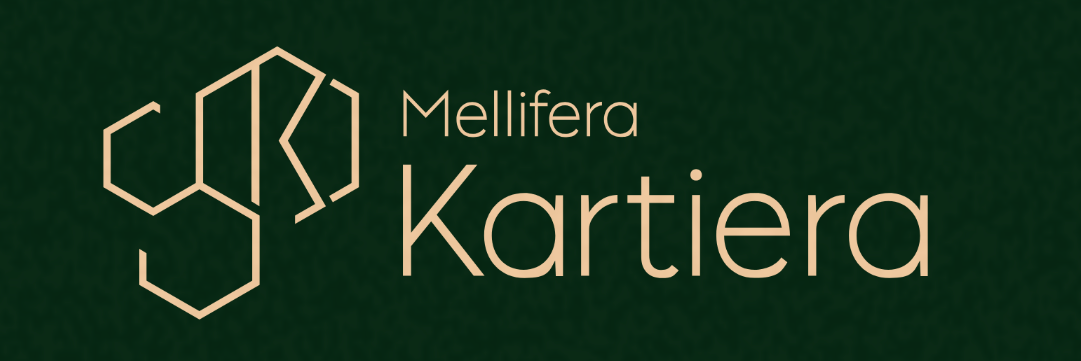 MIFINITY MALTA LIMITED (Malta) - Company Profile and Review