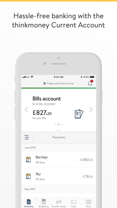 Think Money Limited (United Kingdom) - Company Profile and Review