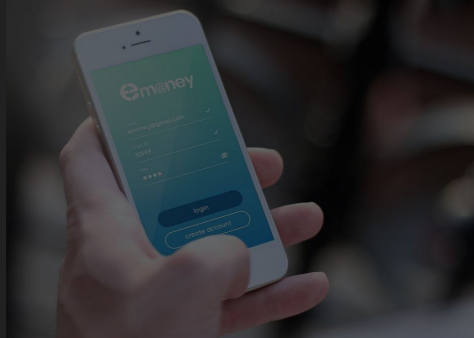 Em@ney plc (Malta) - Company Profile and Review